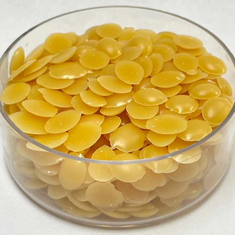 Candelilla Real - Multiceras.com