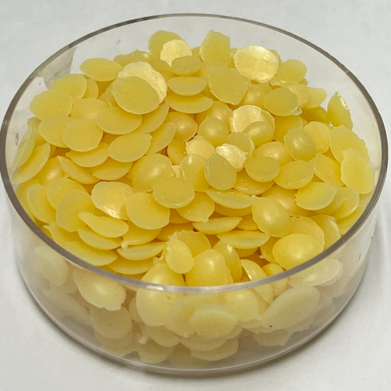 Candelilla Real - Multiceras.com