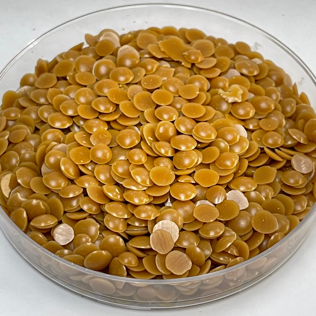 Candelilla Real – Multiceras.com