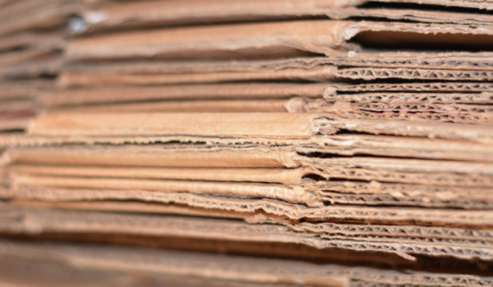 Blog - Multiceras.com