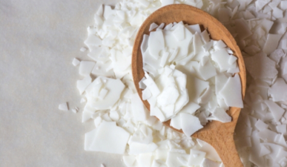 Blog - Multiceras.com