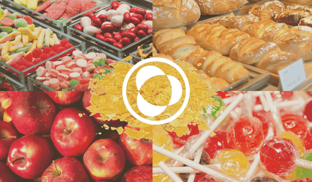 Blog - Multiceras.com